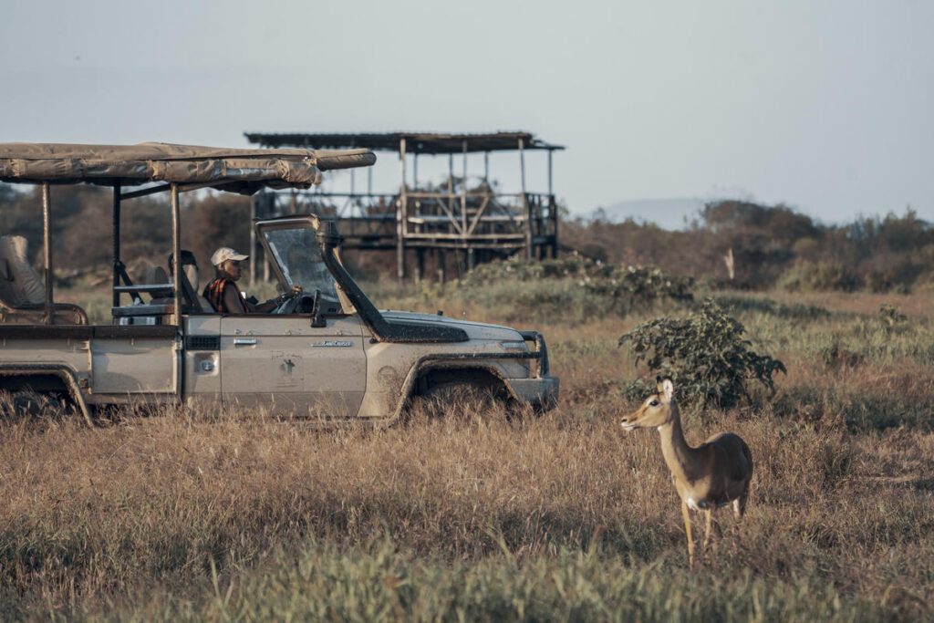 Africa Travel Advice & Tips | Africa Travel Blog | African Safari ...