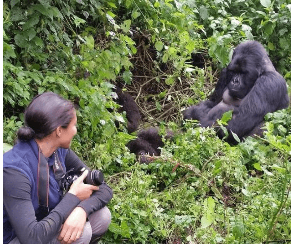 Gorilla Trekking in RWANDA - general information - African Safari ...