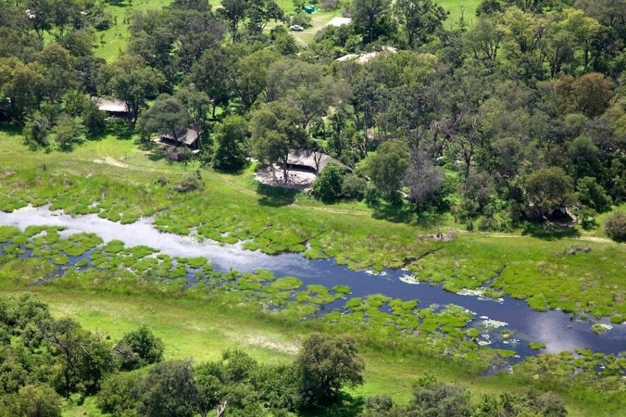 Botswana - African Safari Consultants