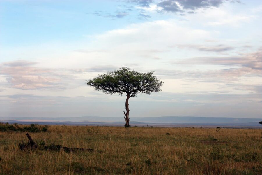 Masai Mara - African Safari Consultants